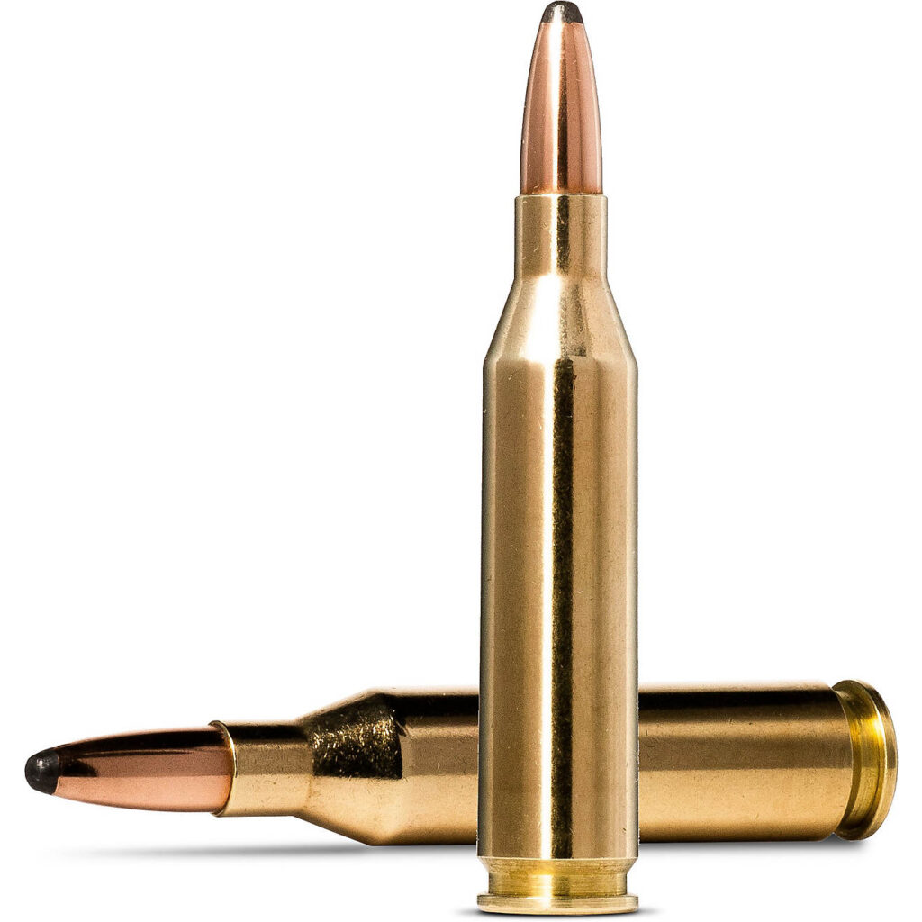 Norma USA Whitetail 243 Winchester 100 Grain Centerfire Rifle Norma USA Whitetail 243 Winchester 100 Grain Centerfire Rifle
